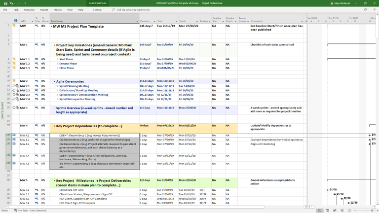 Project Tracking Templates including RAID log (risk, action, issue ...