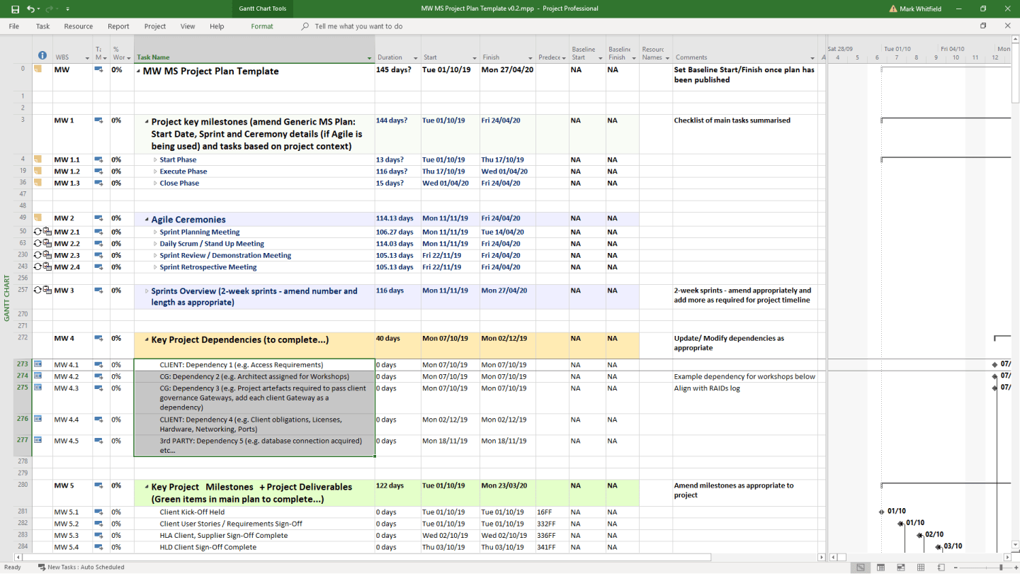 Project Tracking Templates including RAID log (risk, action, issue ...