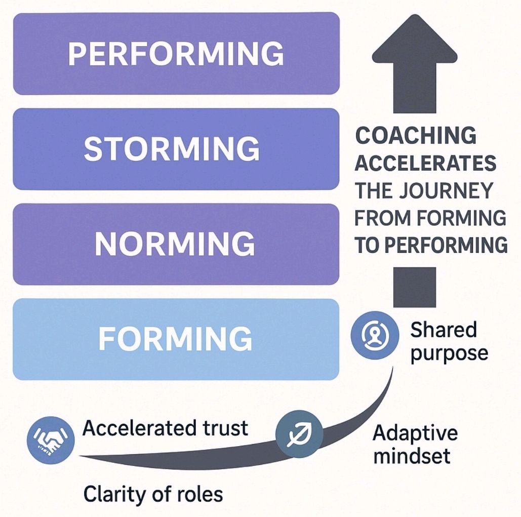 Coaching Forming, Norming, Storming & Performing – PROject Templates